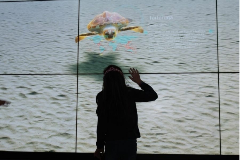 The Vasco da Gama Aquarium - EDIGMA