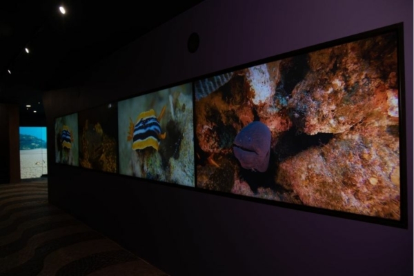 The Vasco da Gama Aquarium - EDIGMA